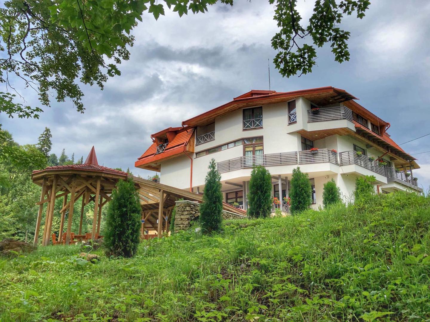 Pagina principală - Favorit Ferice