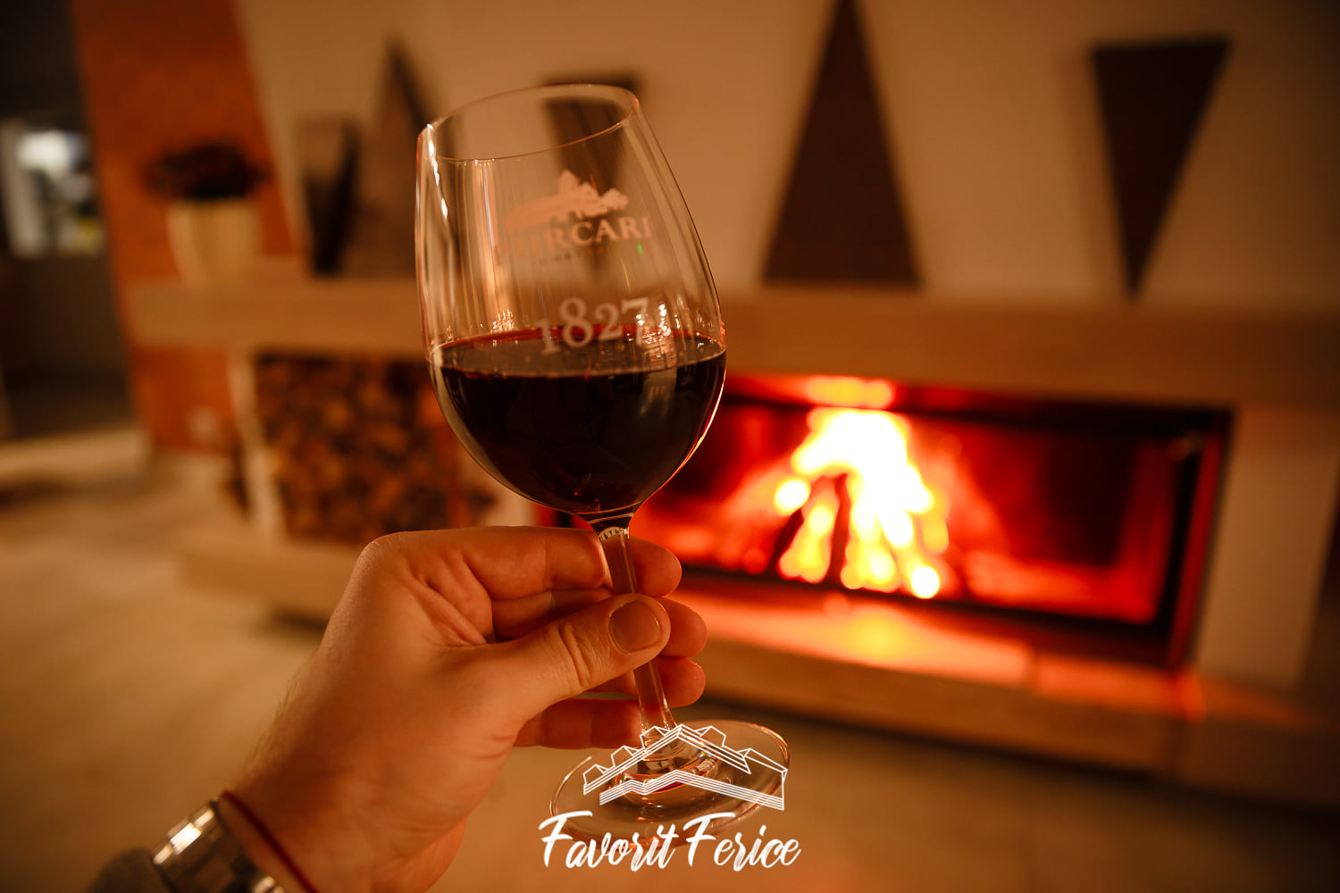 Pagina principală - Favorit Ferice